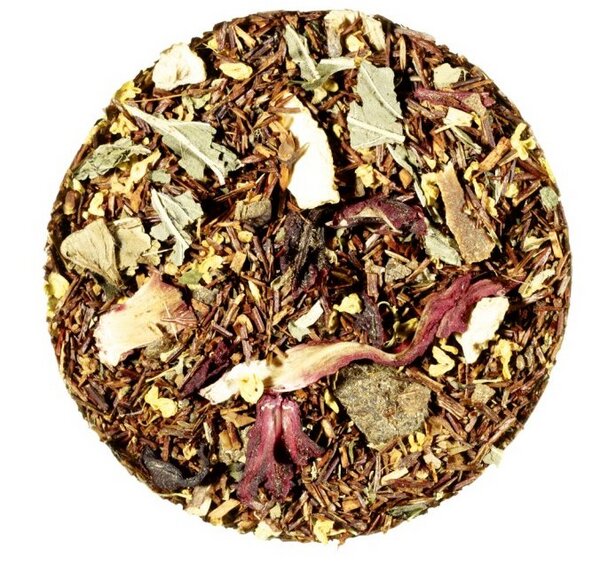 samova - Toronto Splash | Avocadostore