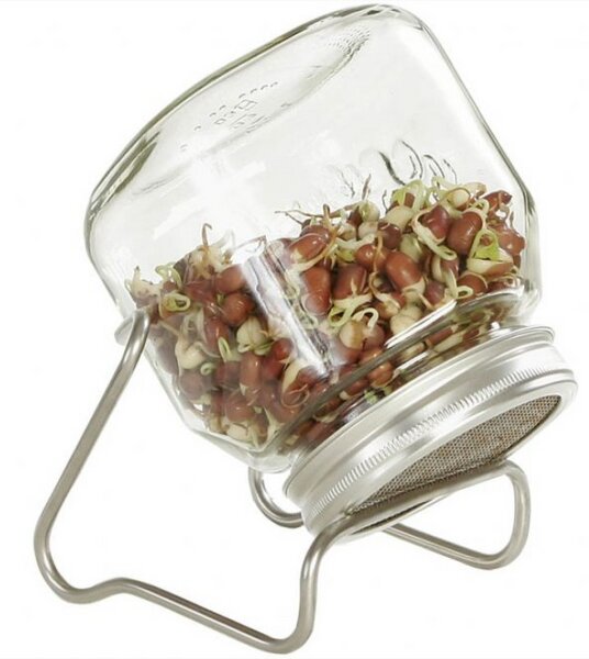 Eschenfelder Sprossenglas Mit Abtropfgestell Avocadostore