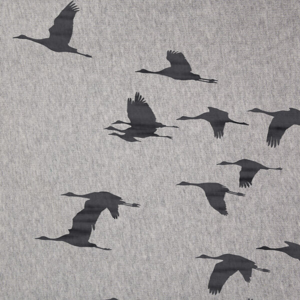 ARMEDANGELS - Lewis Rising High | Avocadostore