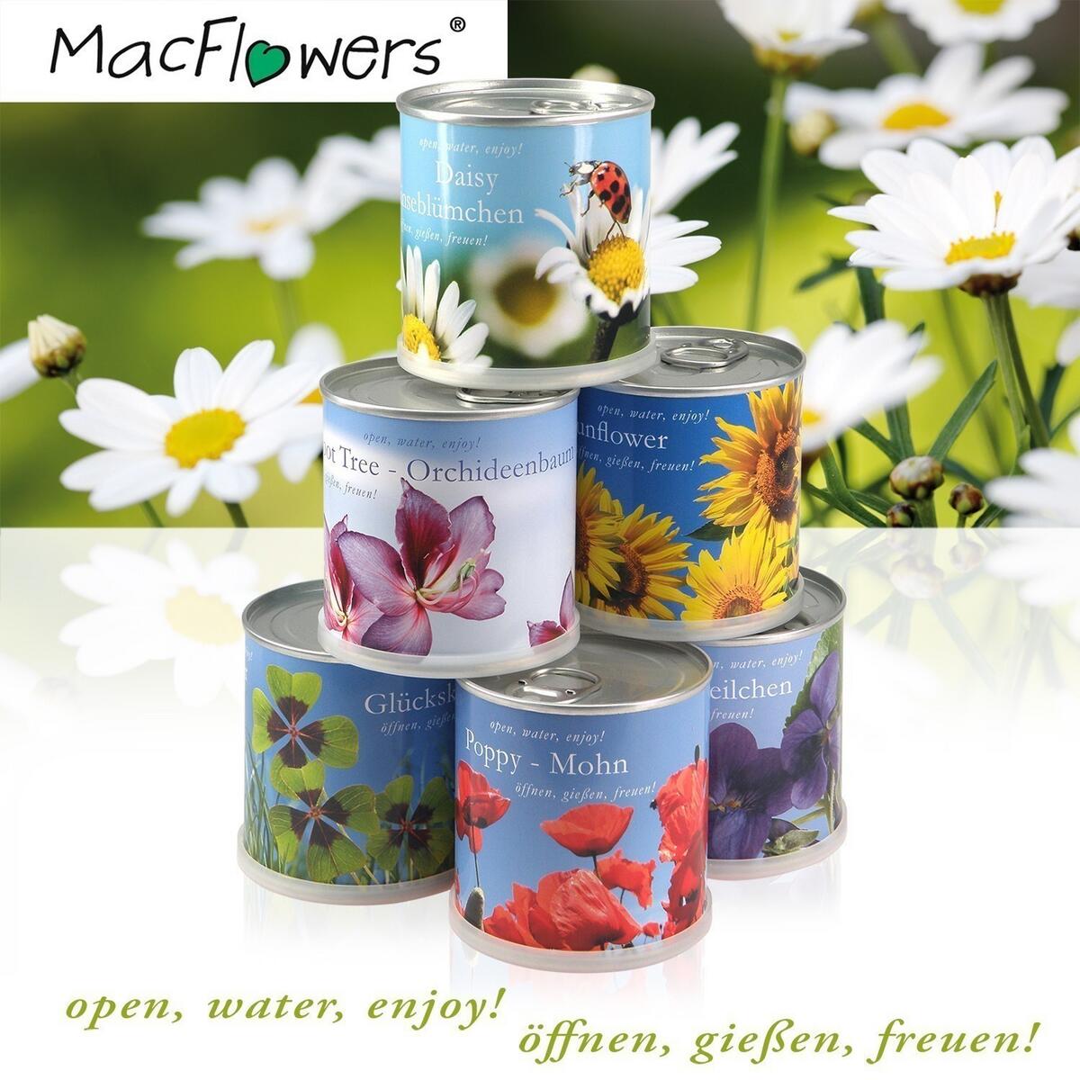 Blumen In Der Dose
