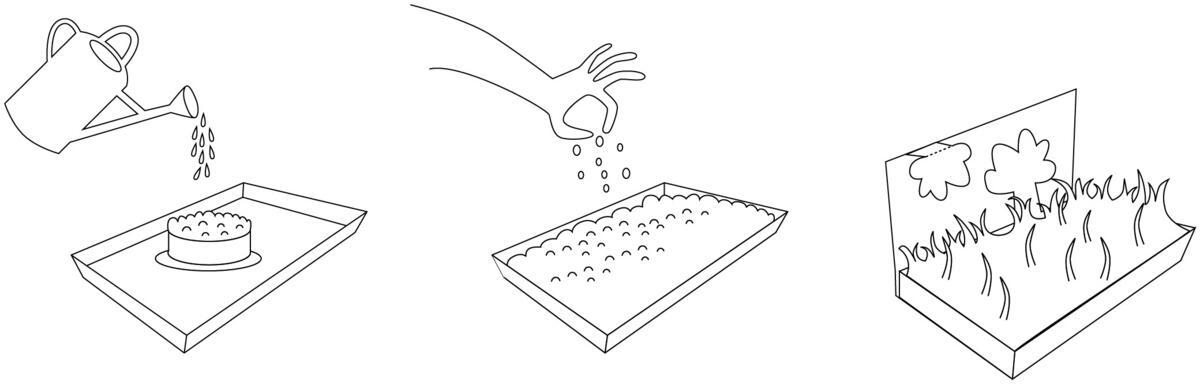 EUGEA - Pflanzset Lust auf Grün | Avocadostore