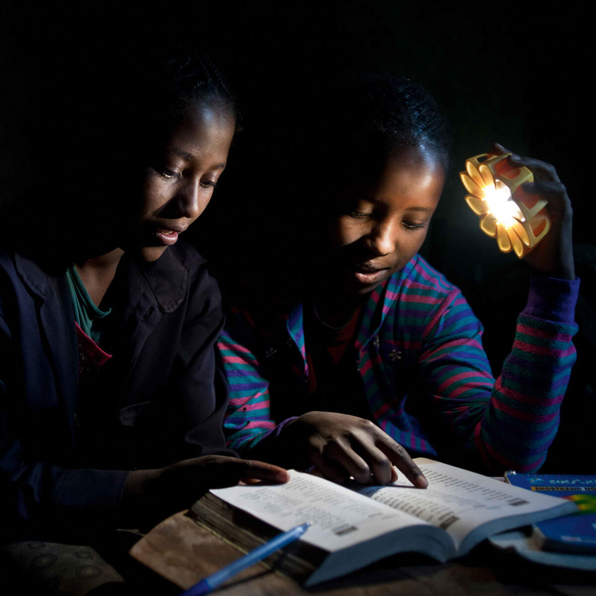 Little Sun - Little Sun Original | Avocadostore