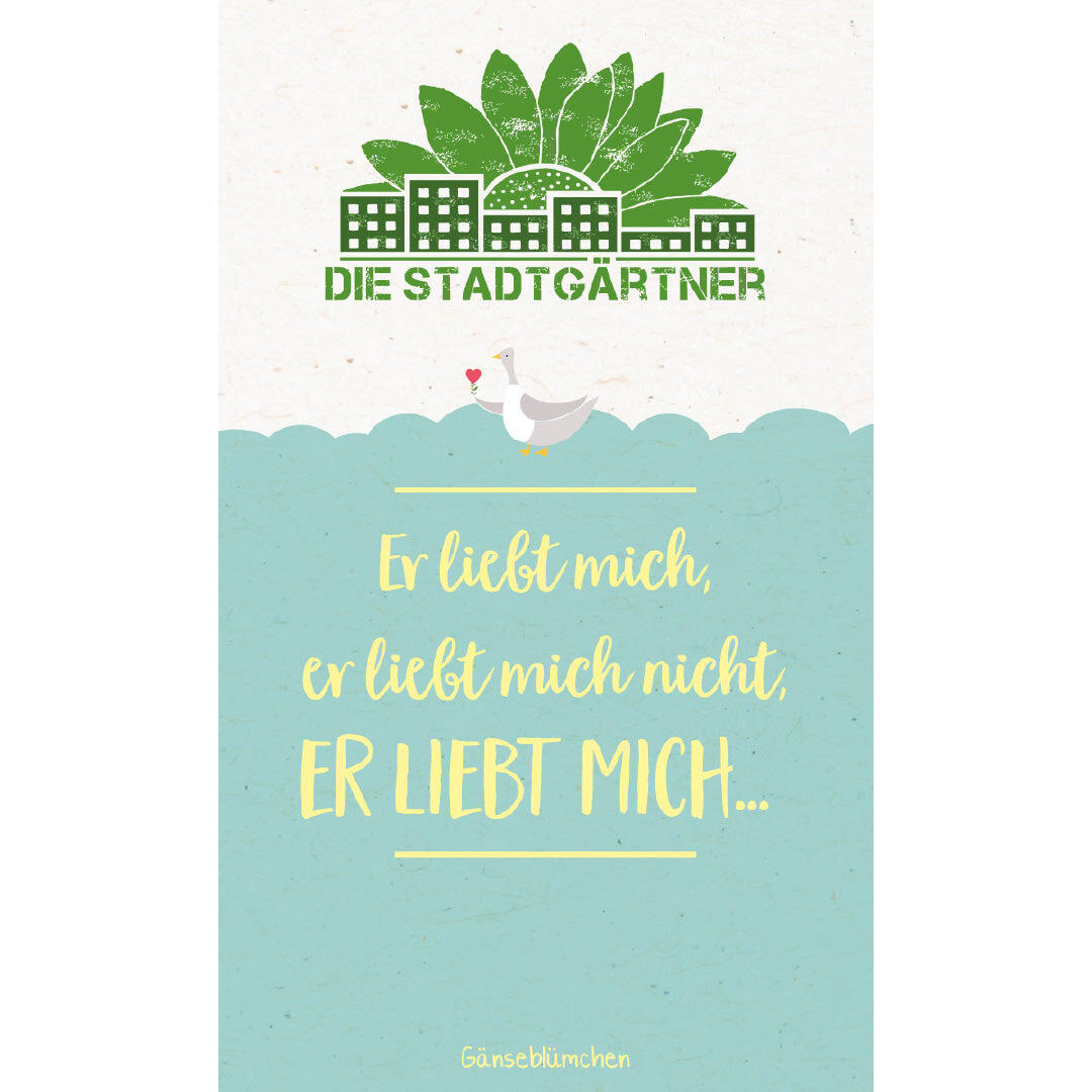 Die Stadtgärtner - Er liebt mich, er liebt mich nicht... - Saatgut für Gänseblümchen | Avocadostore