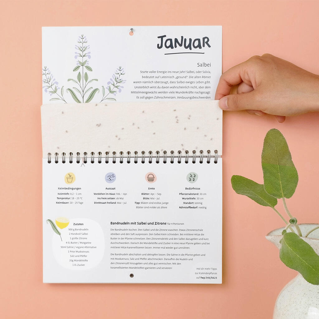 primoza GmbH - Der Wachsende Kalender Kräuterküche zeitlos | Avocadostore
