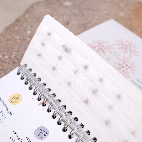 primoza GmbH - Der Wachsende Kalender Kräuterküche zeitlos | Avocadostore