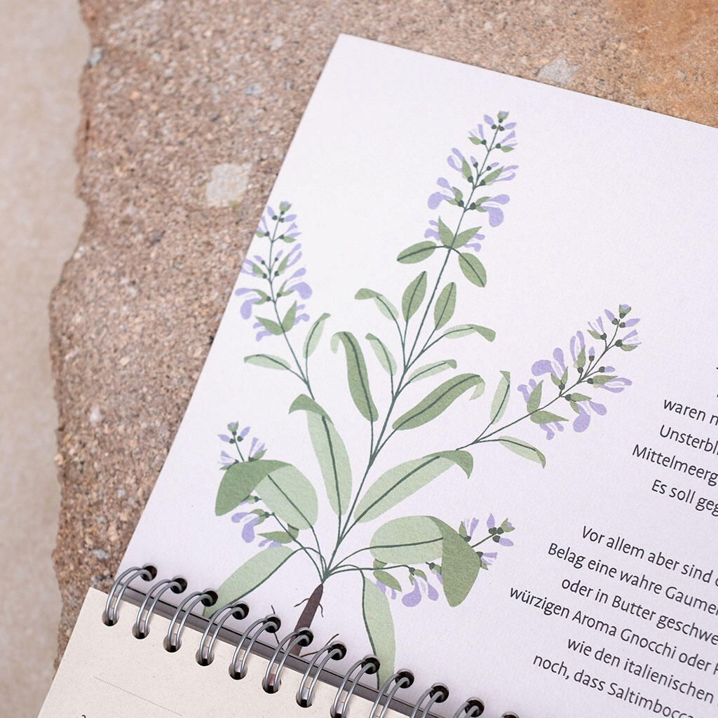 primoza GmbH - Der Wachsende Kalender Kräuterküche zeitlos | Avocadostore