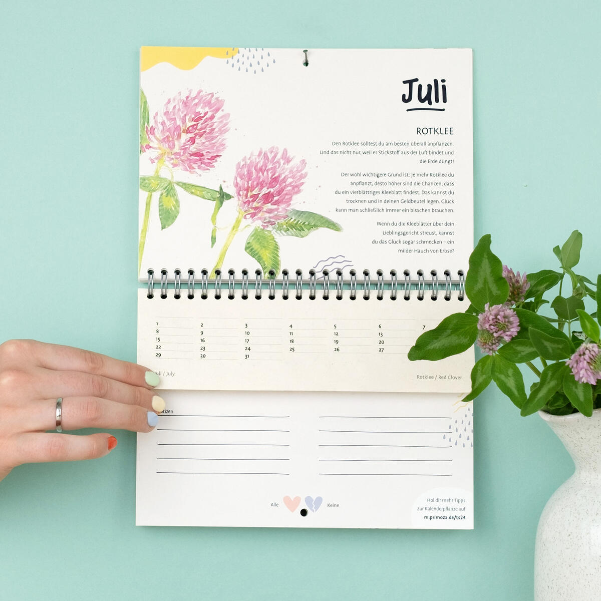 primoza GmbH - Der Wachsende Kalender Tausendsassa - zeitlos | Avocadostore