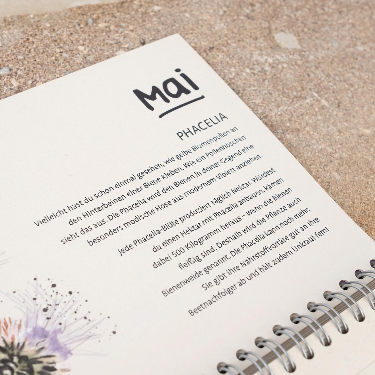 primoza GmbH - Der Wachsende Kalender Tausendsassa - zeitlos | Avocadostore